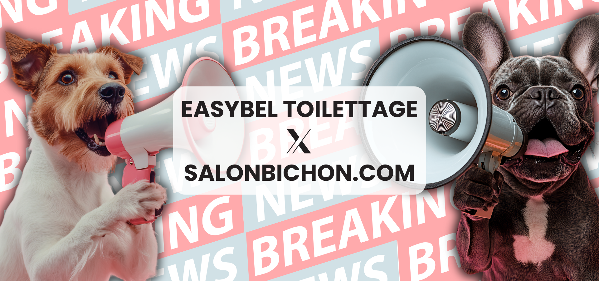 Easybel Toilettage s’associe à SalonBichon.com pour booster la ...